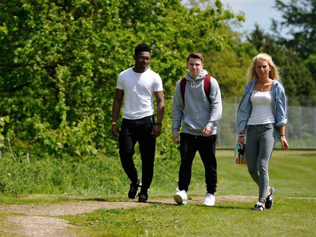 Myerscough rated top land-based college in country for apprenticeships ...