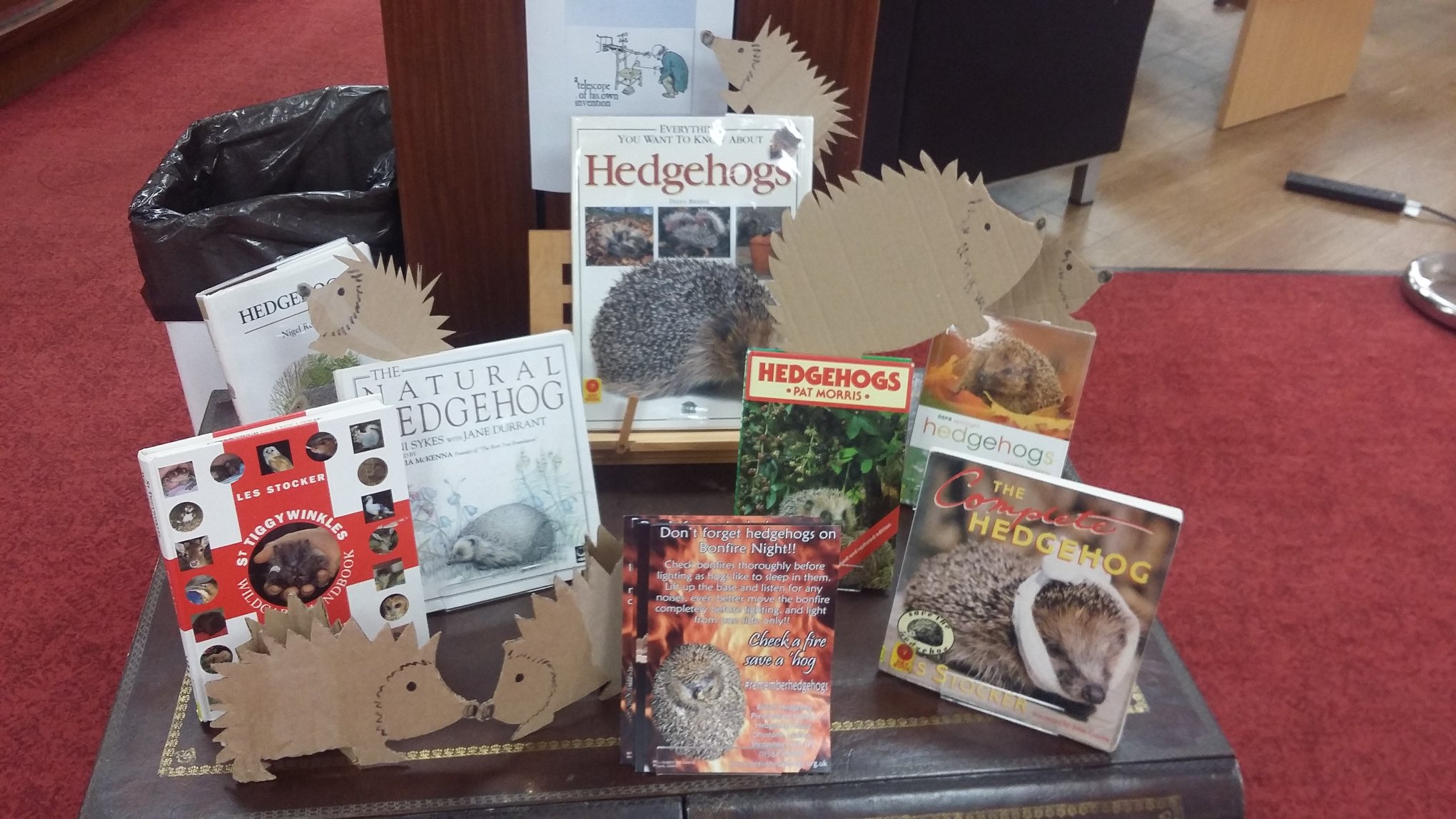 Myerscough strives for Hedgehog Friendly Campus status | Myerscough College