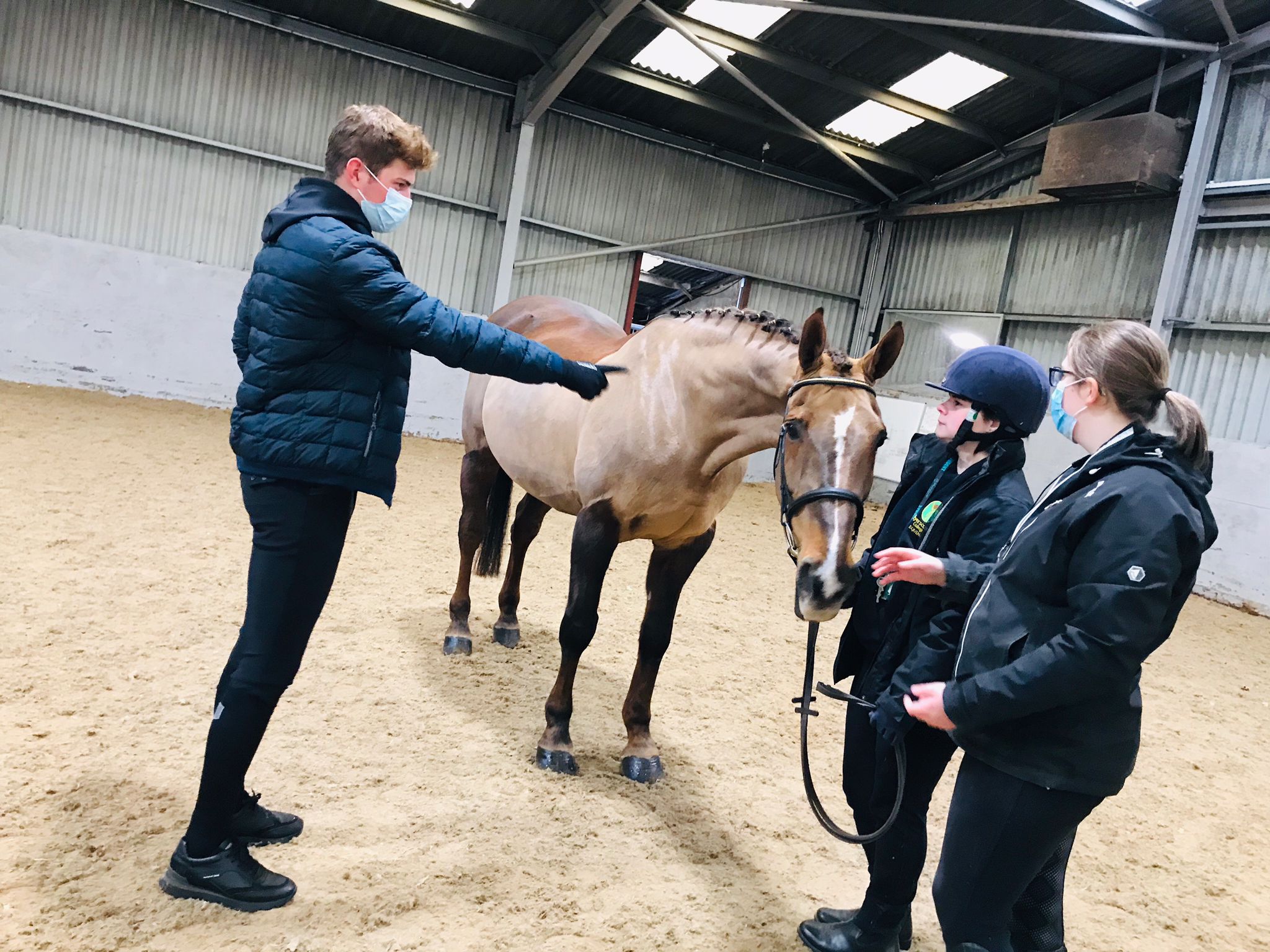 Equine mentoring neigh problem for social media star Harrison ...